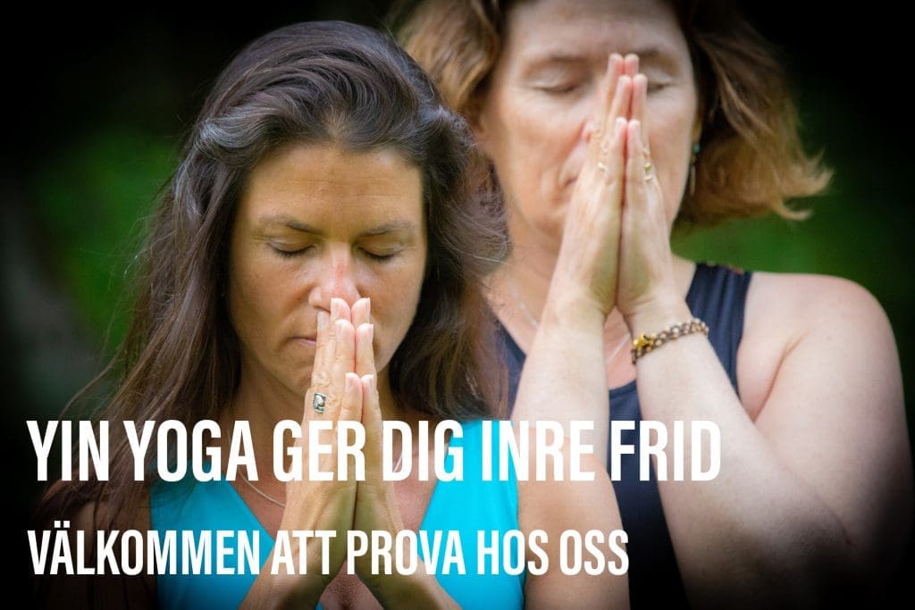 Minska Din Stressniv Med Yin Yoga En Lugnande Resa Till Inre Frid Minska Din Stressniv Med Yin Yoga En Lugnande Resa Till Inre Frid